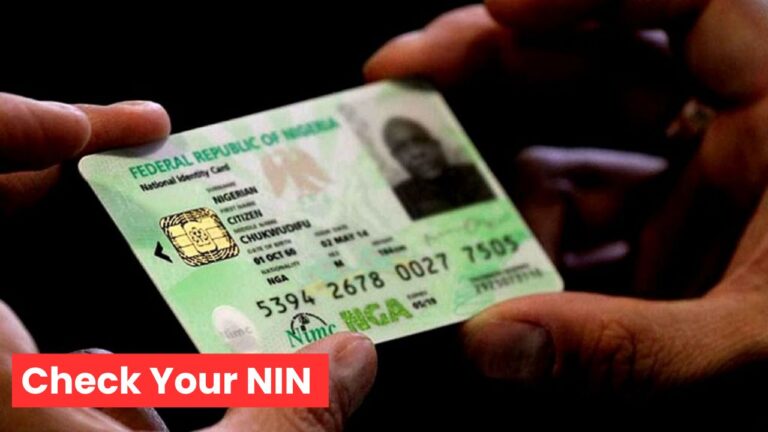 How to Check Your NIN Number: A Complete Guide